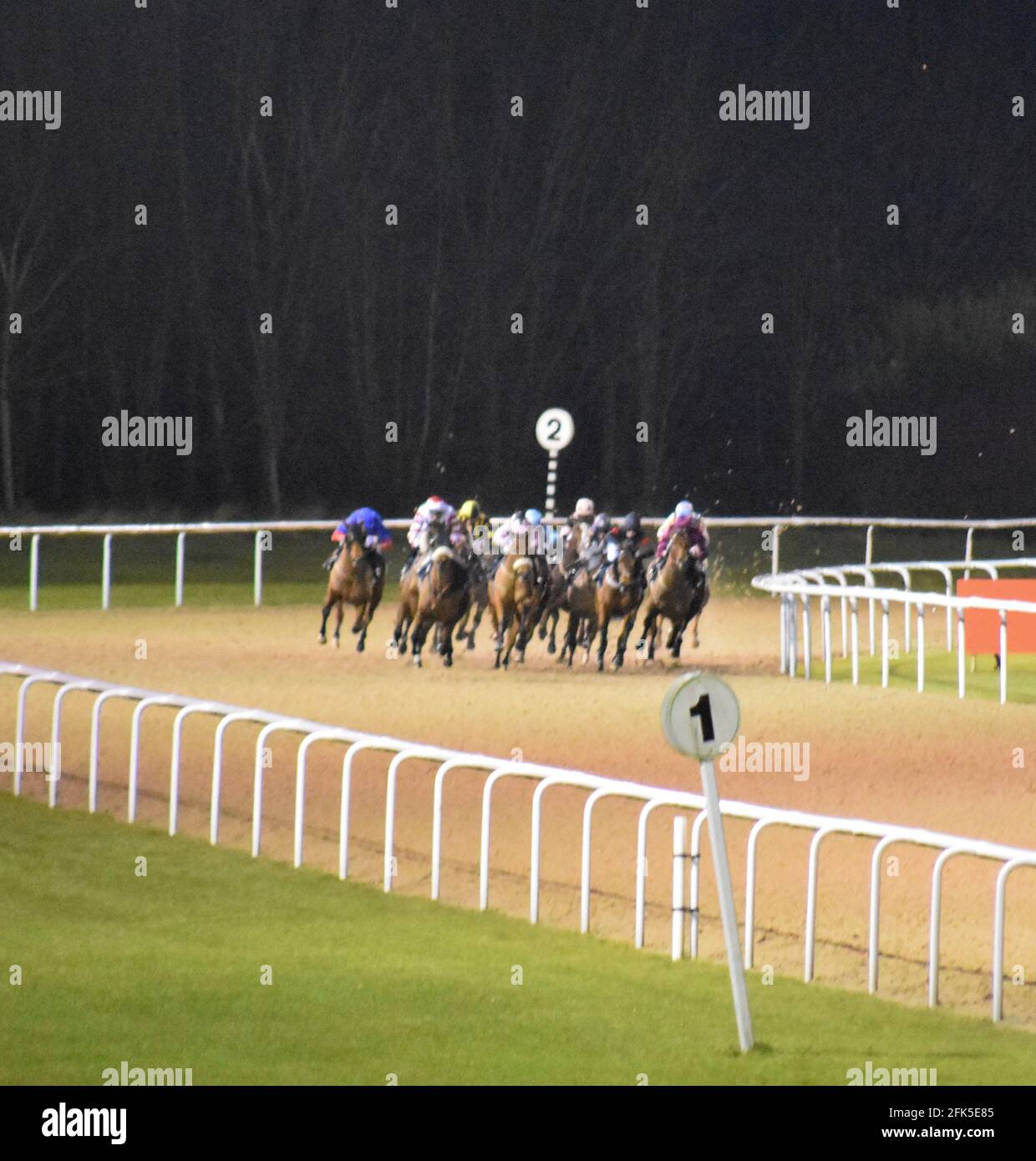 Night Horse Racing at Wolves Races, Wolverhampton Stock Photo - Alamy