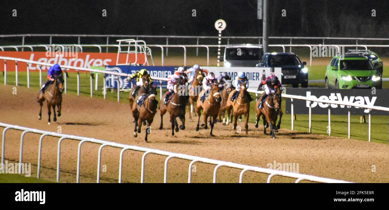 Night Horse Racing at Wolves Races, Wolverhampton Stock Photo - Alamy