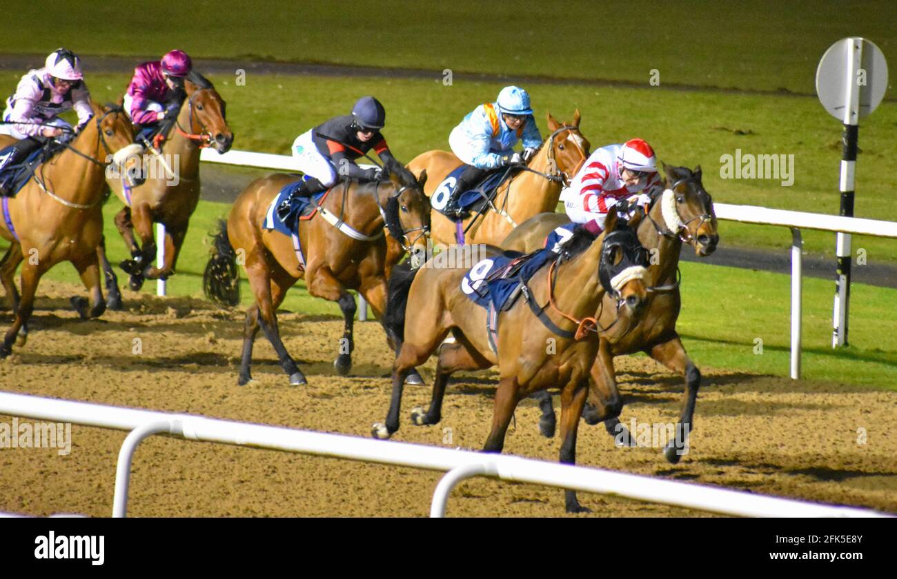 Night Horse Racing at Wolves Races, Wolverhampton Stock Photo - Alamy