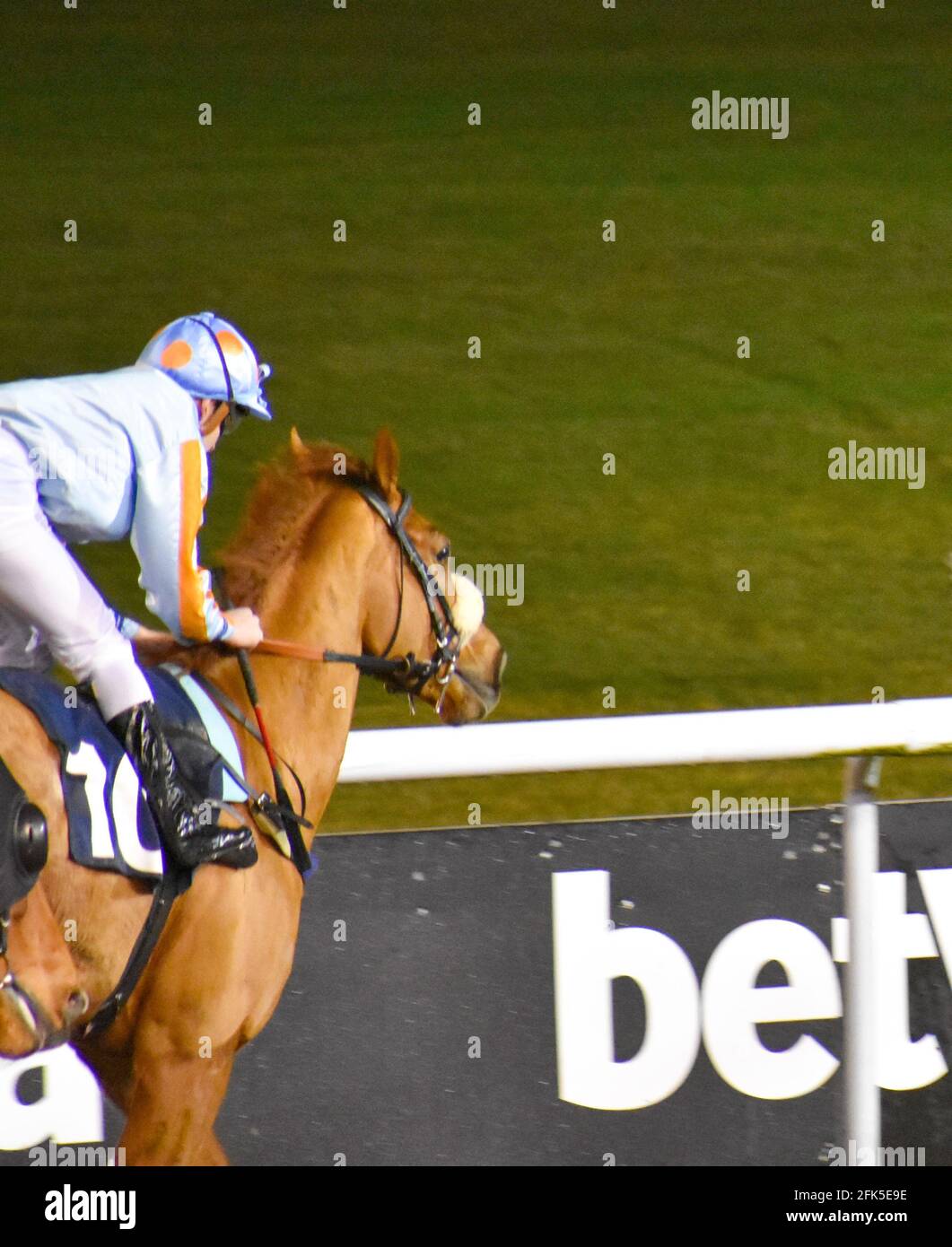 Night Horse Racing at Wolves Races, Wolverhampton Stock Photo - Alamy