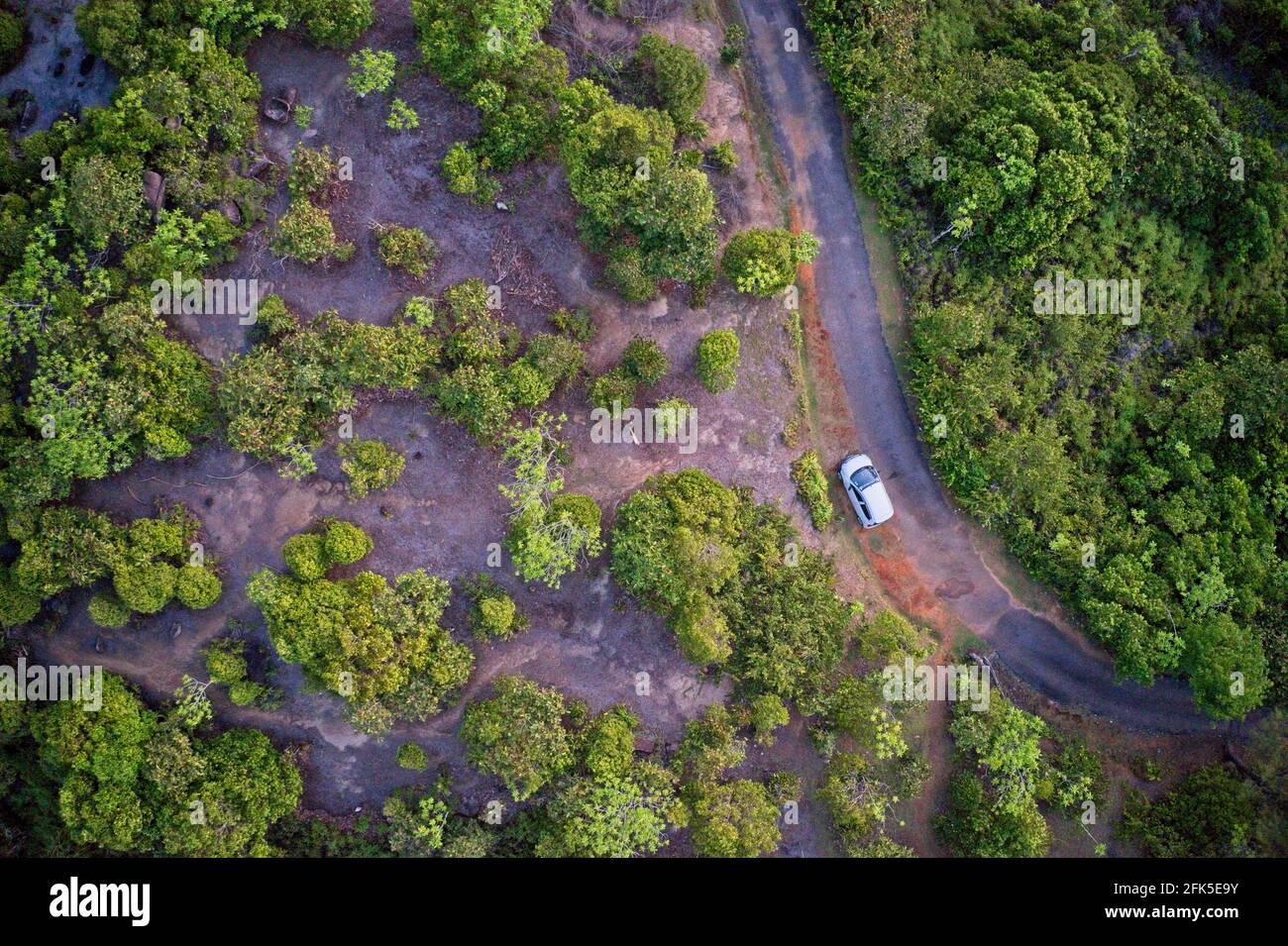 Aerial view rocks palms seychelles hi-res stock photography and images ...