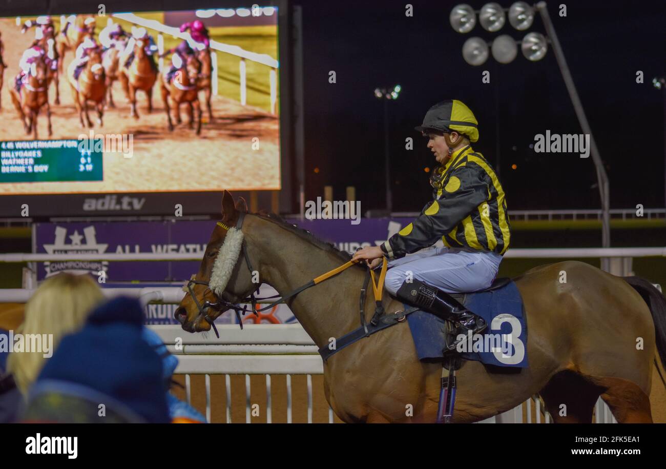 Night Horse Racing at Wolves Races, Wolverhampton Stock Photo - Alamy