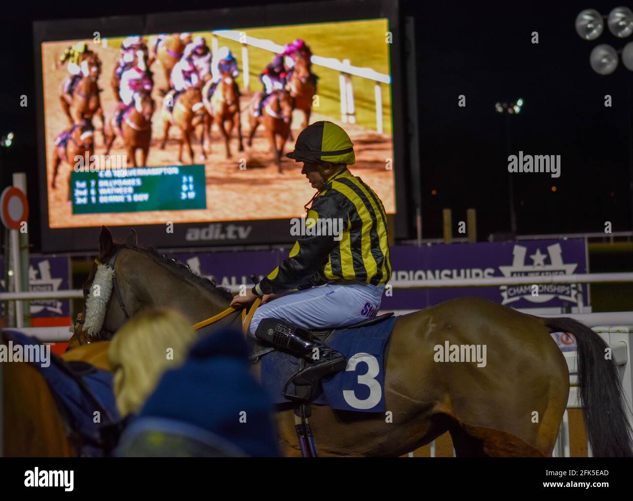 Night Horse Racing at Wolves Races, Wolverhampton Stock Photo - Alamy