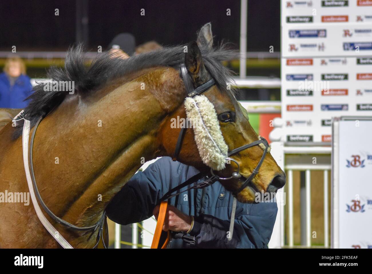Horse racing wolverhampton racecourse hi-res stock photography and ...