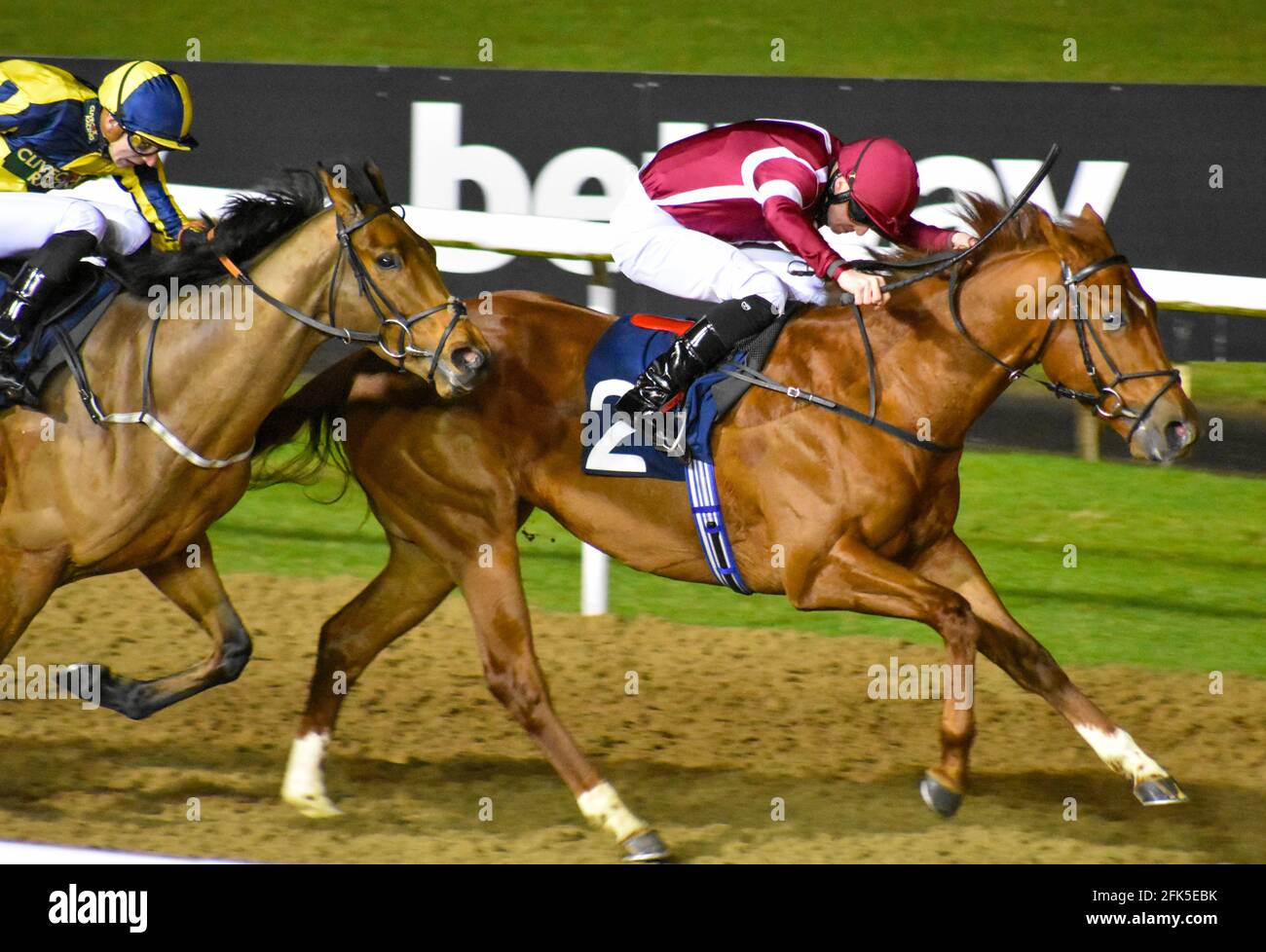 Horse racing wolverhampton racecourse hi-res stock photography and ...