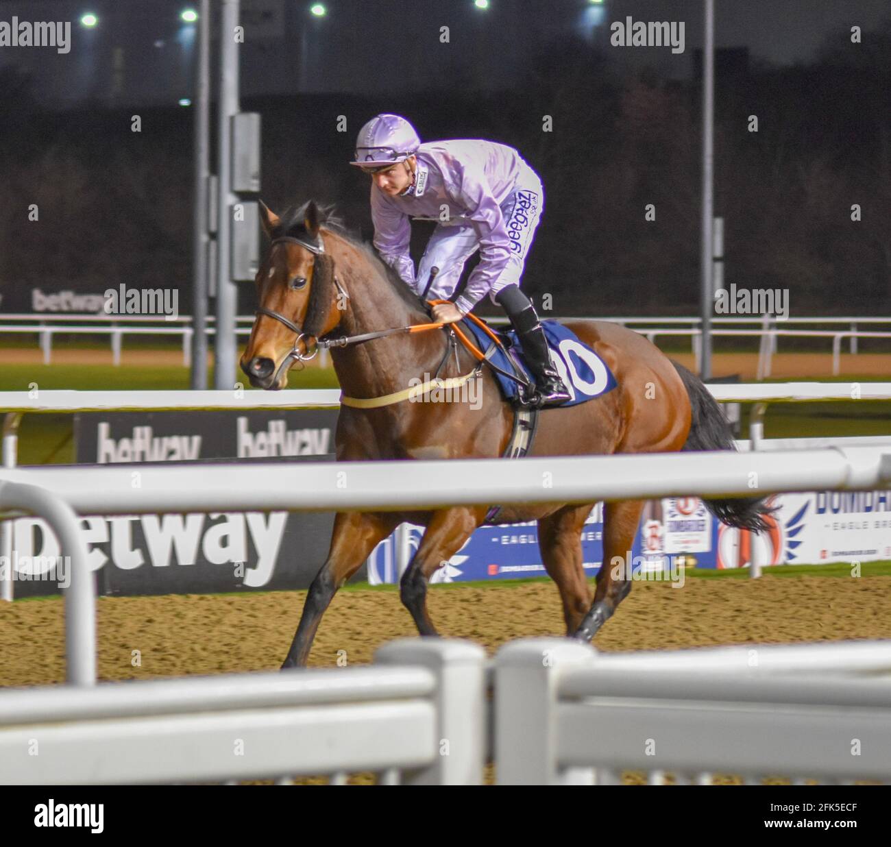 Horse racing wolverhampton racecourse hi-res stock photography and ...