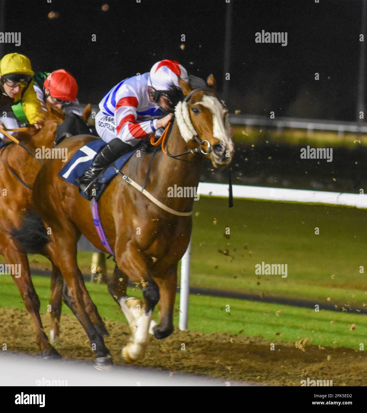 Horse racing races wolverhampton hi-res stock photography and images ...