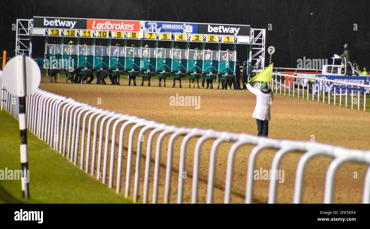 Night Horse Racing at Wolves Races, Wolverhampton Stock Photo - Alamy