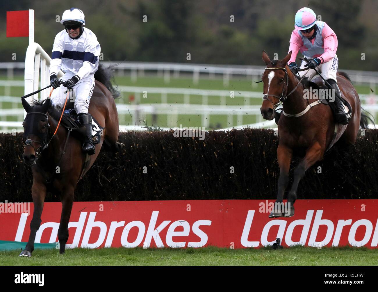 Foxy jacks hi-res stock photography and images - Alamy