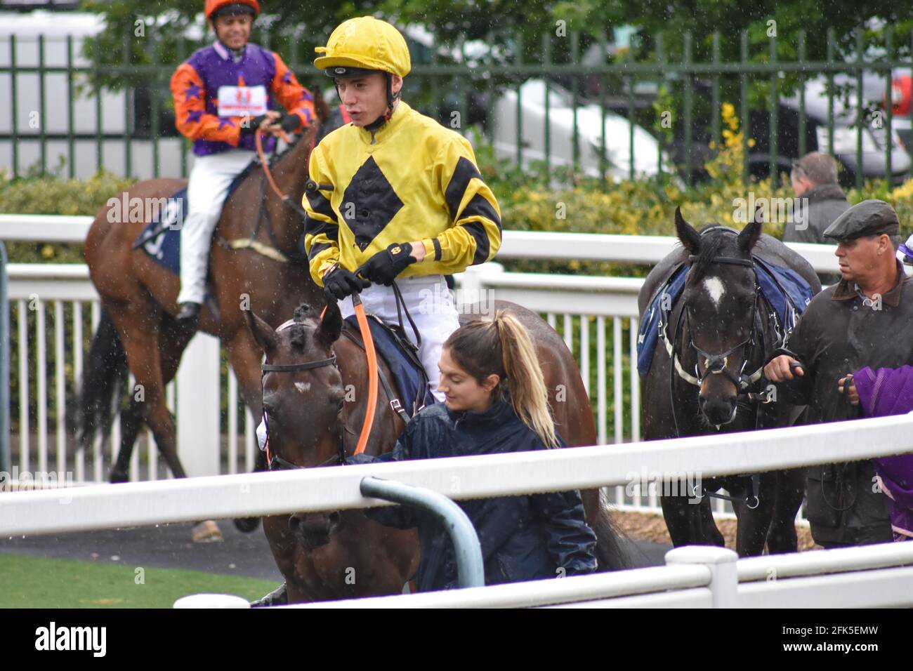 Wolverhampton Races, Wolves Stock Photo - Alamy