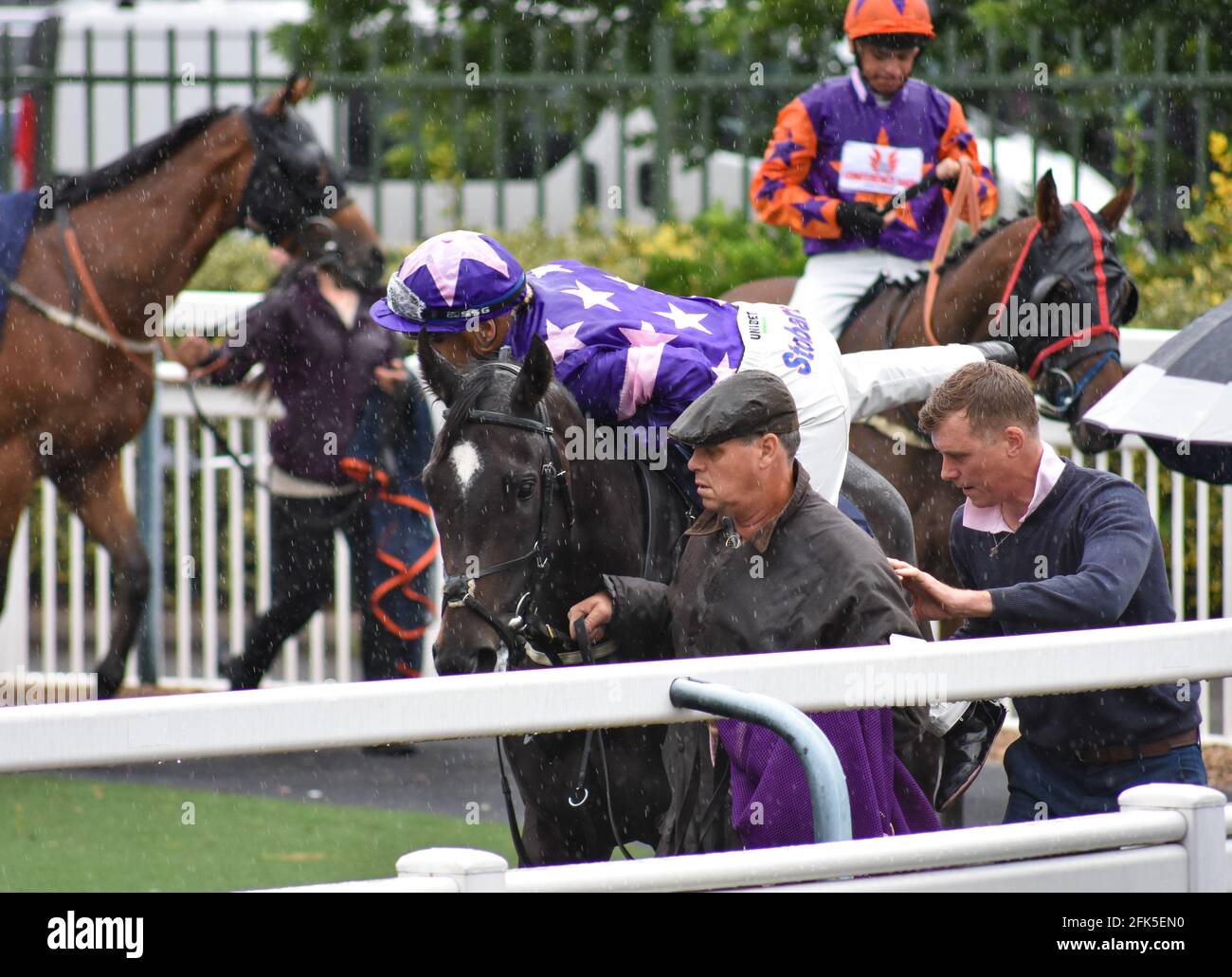Wolverhampton Races, Wolves Stock Photo - Alamy