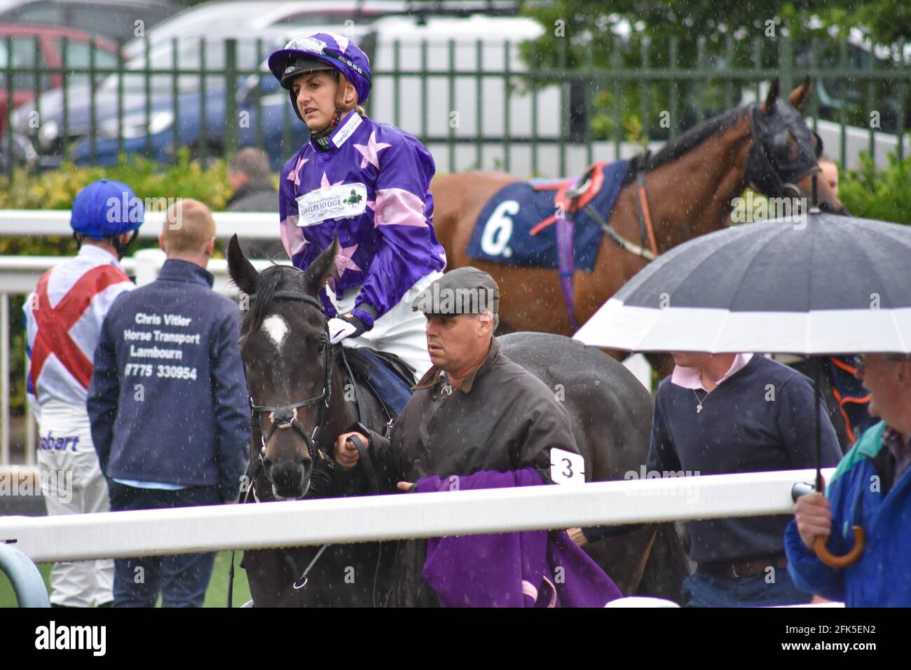 Wolverhampton Races, Wolves Stock Photo - Alamy