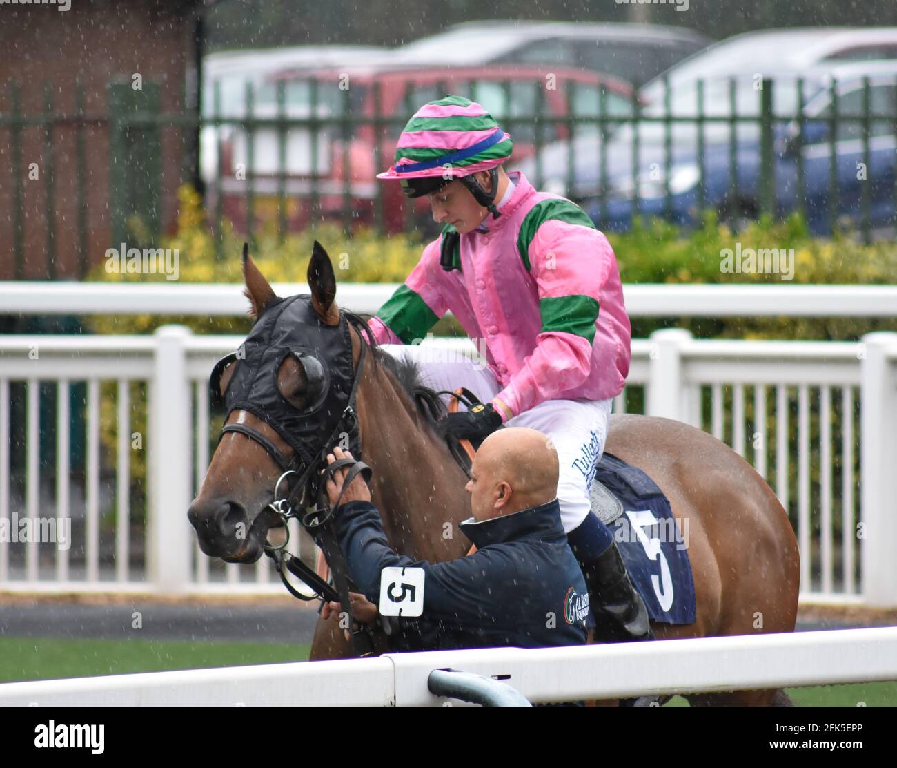 Wolverhampton Races, Wolves Stock Photo - Alamy