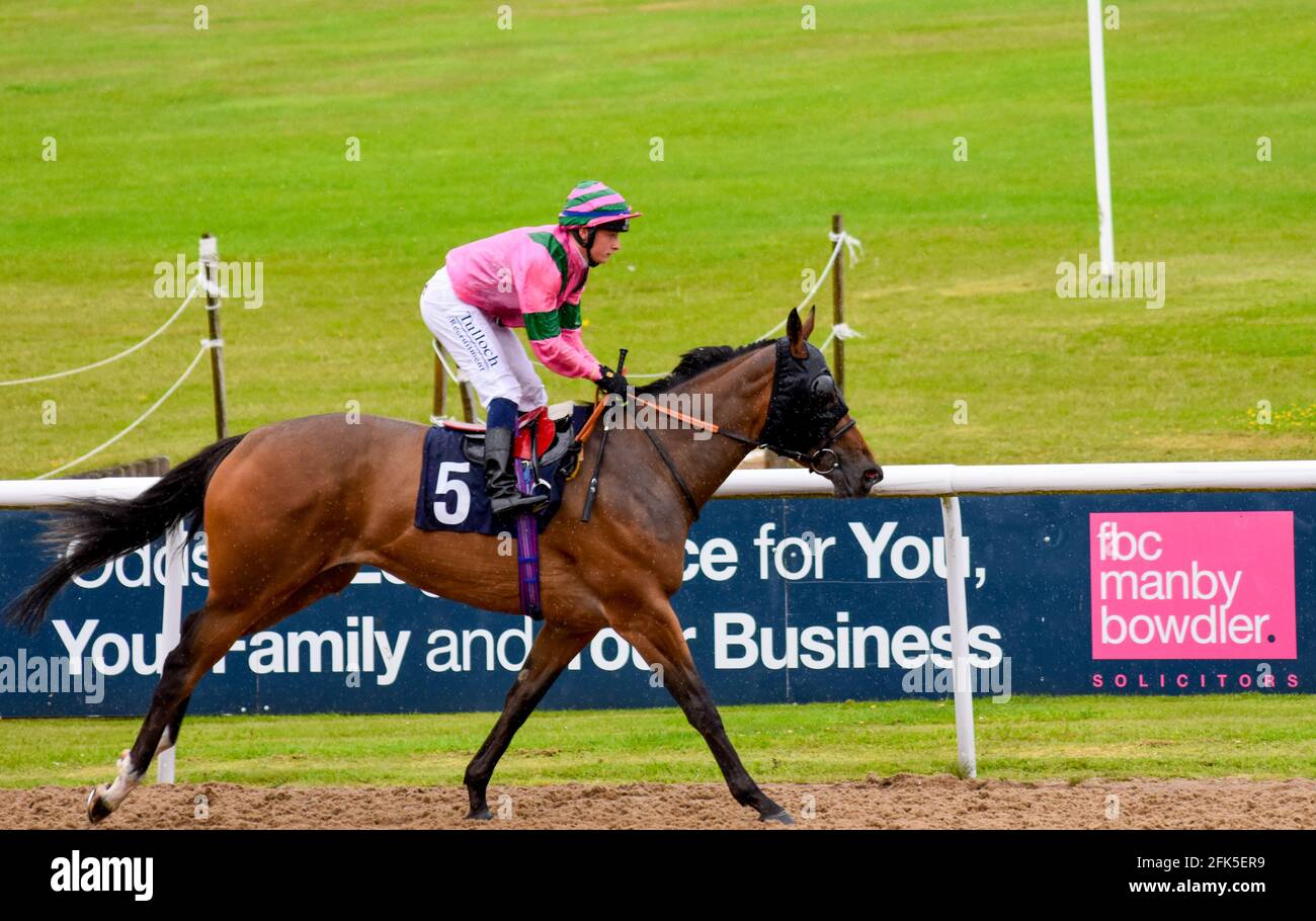 Wolverhampton Races, Wolves Stock Photo - Alamy