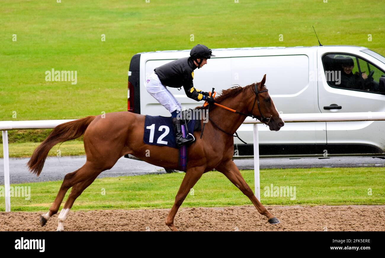 Wolverhampton racecourse hi-res stock photography and images - Alamy