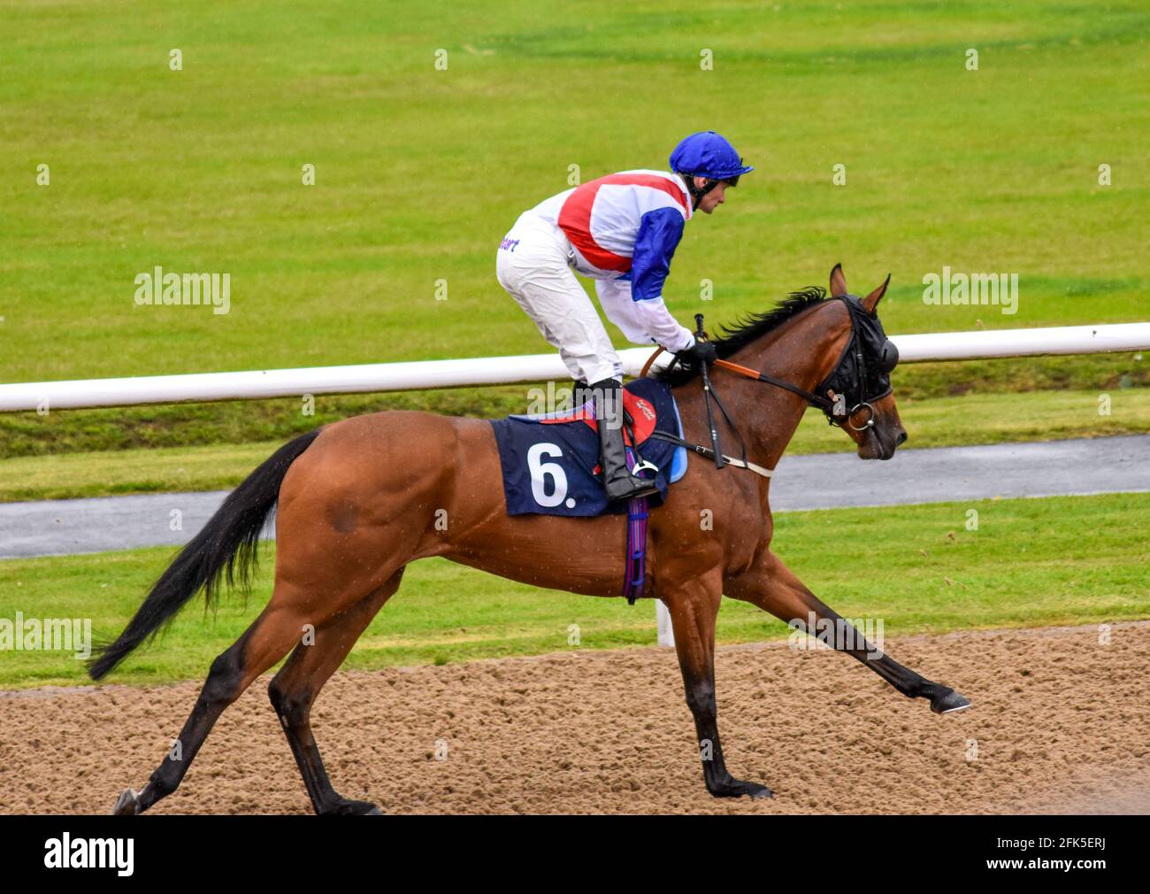 Wolverhampton Races, Wolves Stock Photo - Alamy