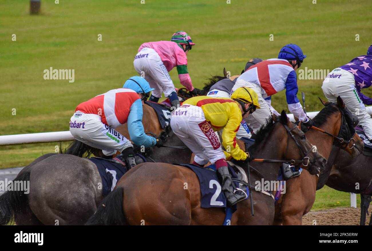 Wolverhampton Races, Wolves Stock Photo - Alamy