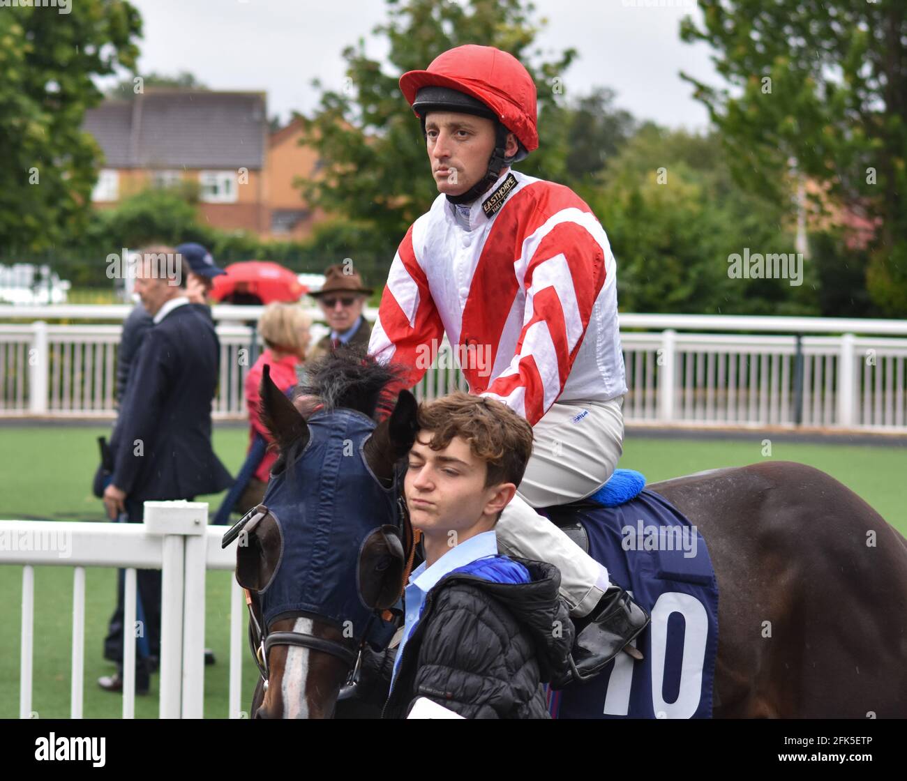 Wolverhampton Races, Wolves Stock Photo - Alamy