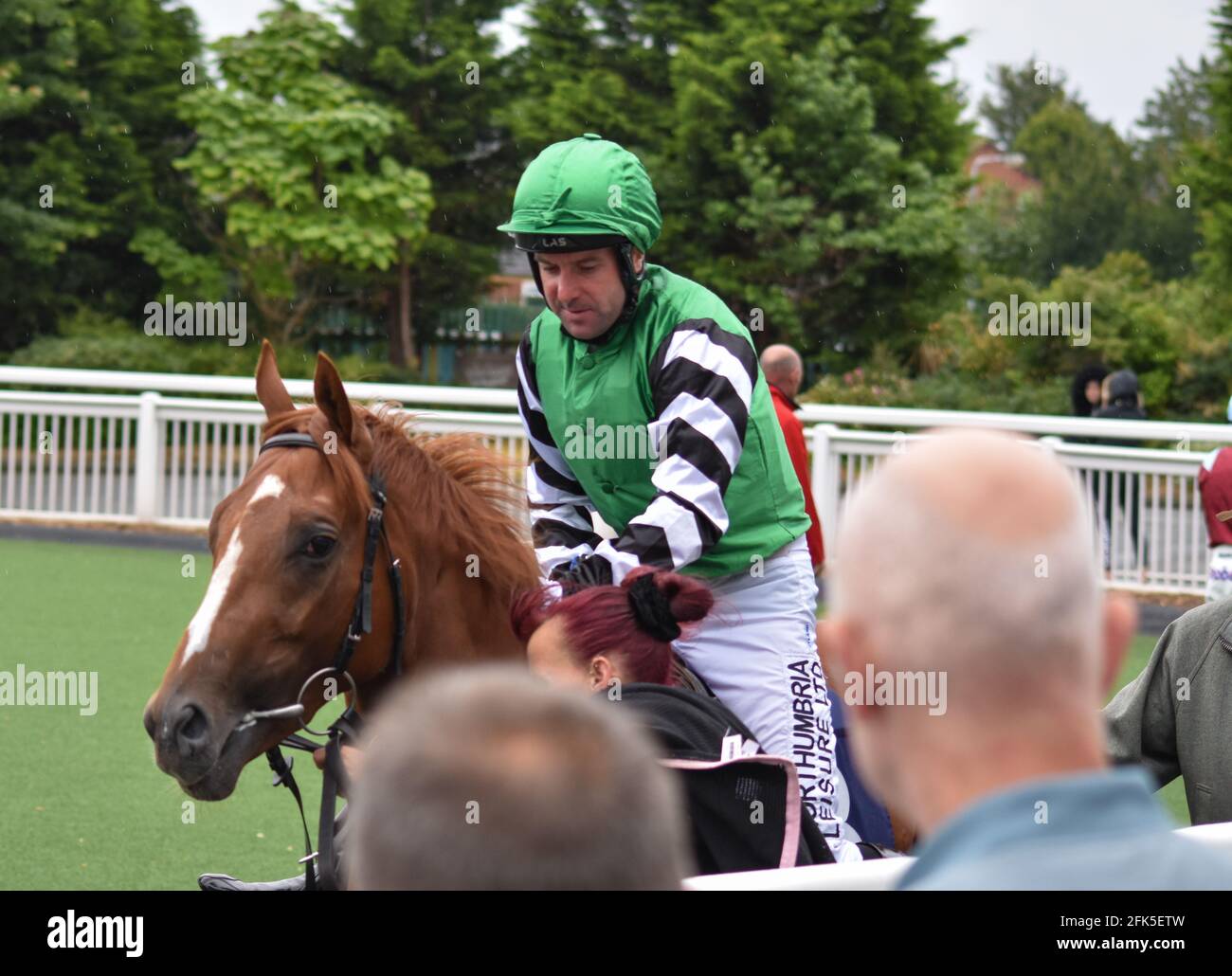 Wolverhampton Races, Wolves Stock Photo - Alamy