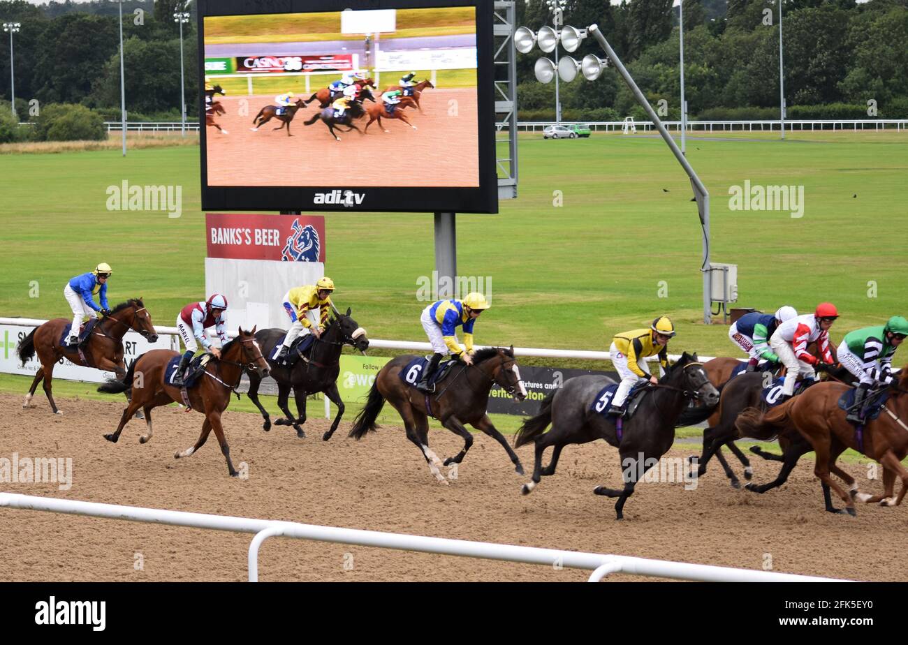 Wolverhampton Races, Wolves Stock Photo - Alamy