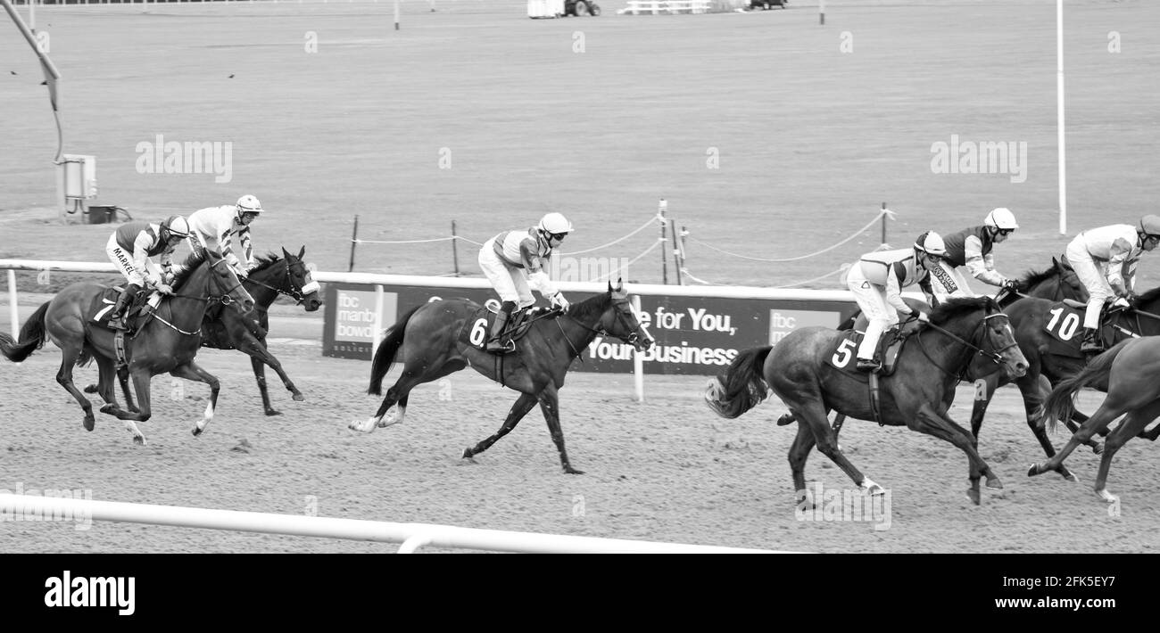 Wolverhampton Races, Wolves Stock Photo - Alamy