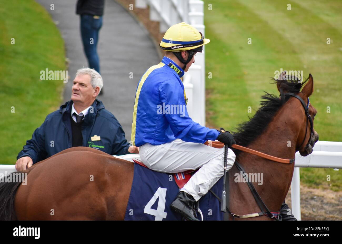 Wolverhampton Races, Wolves Stock Photo - Alamy