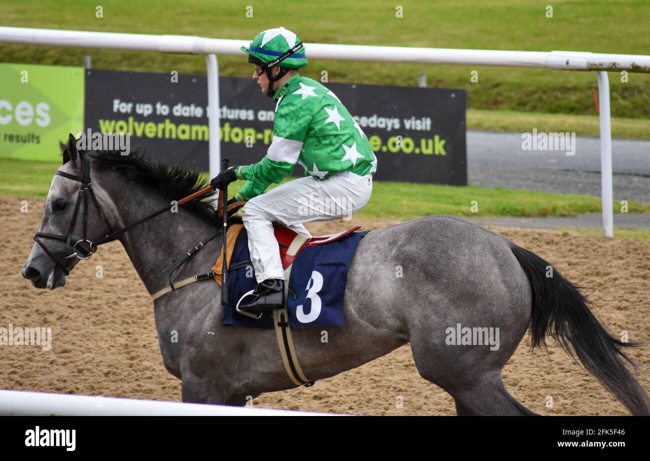 Wolverhampton Races, Wolves Stock Photo - Alamy
