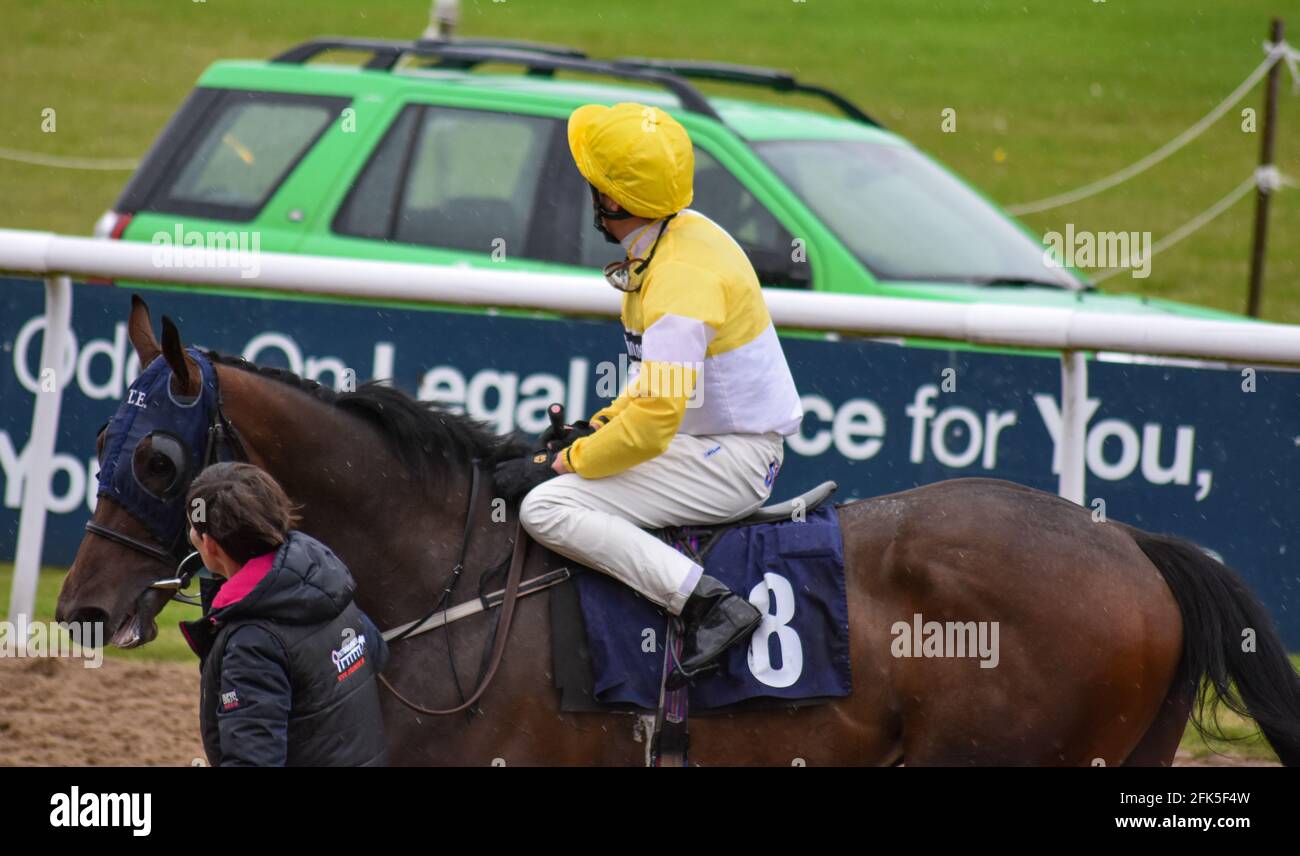 Wolverhampton Races, Wolves Stock Photo - Alamy