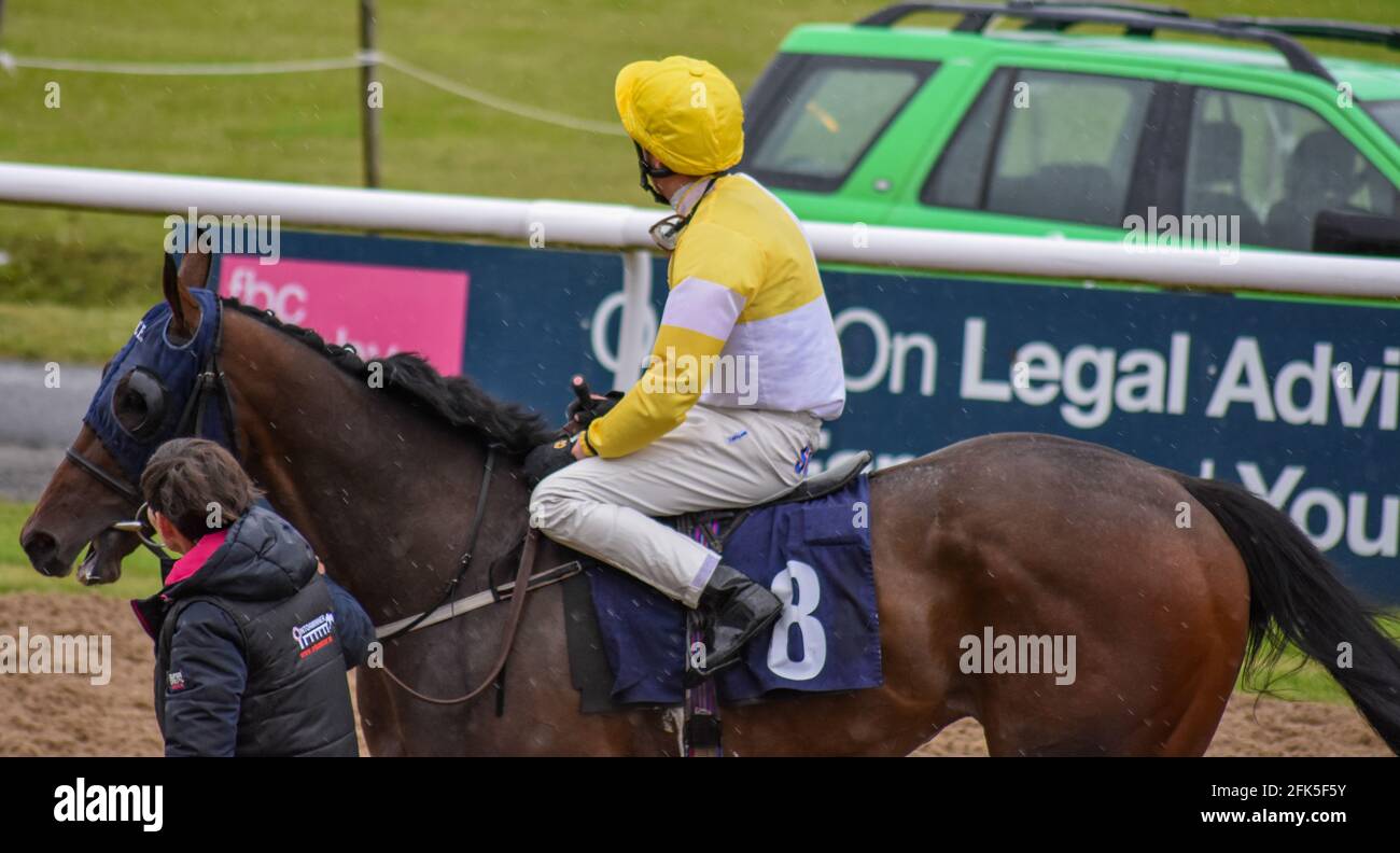 Wolverhampton Races, Wolves Stock Photo - Alamy
