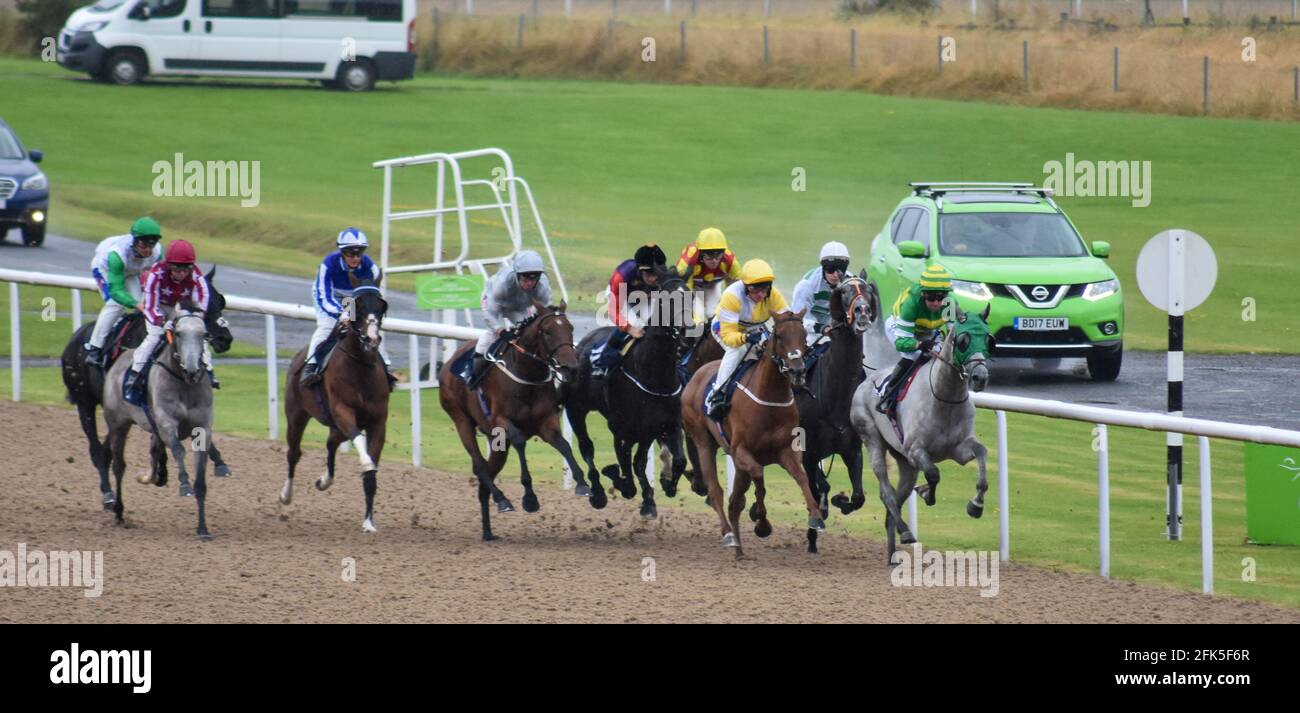 Wolverhampton Races, Wolves Stock Photo - Alamy