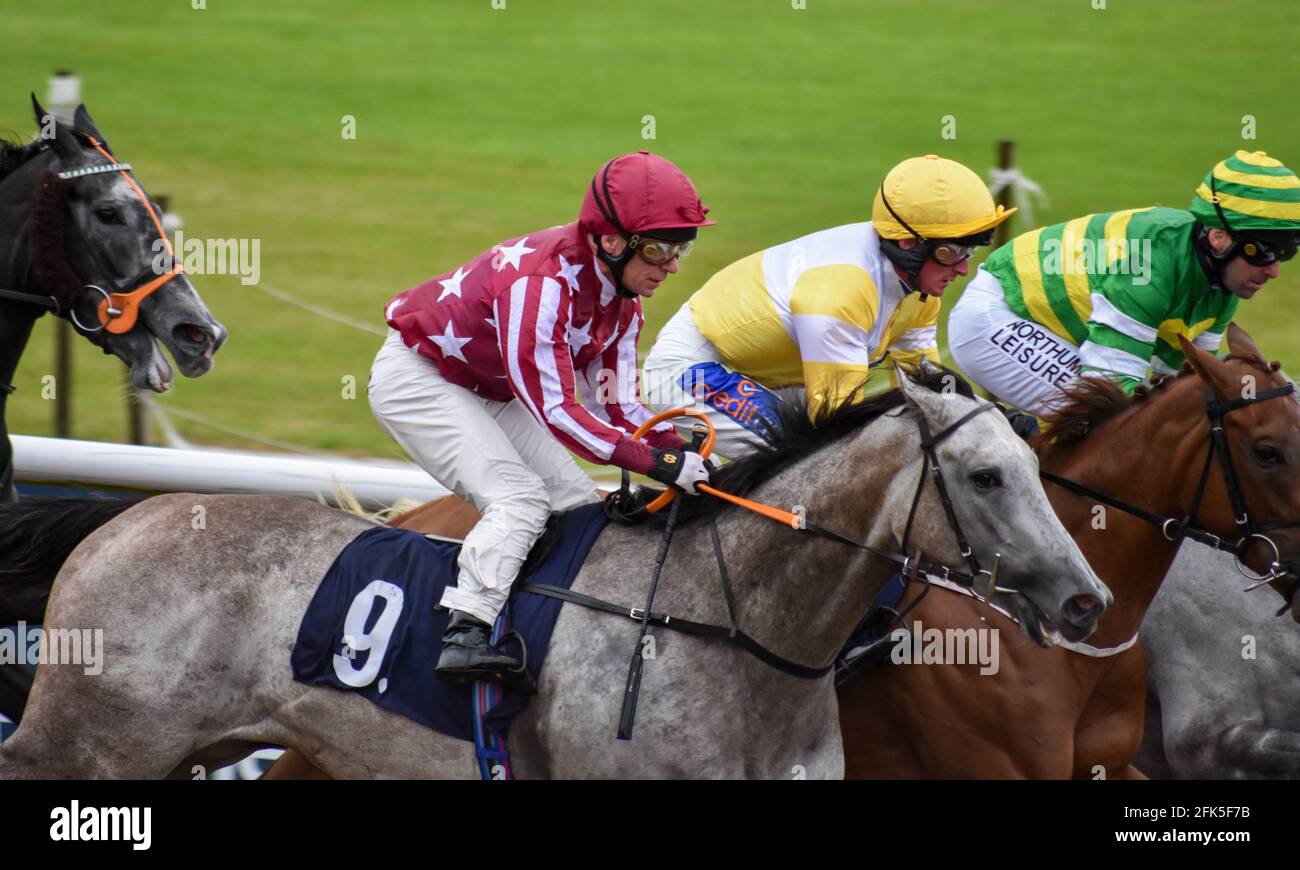 Wolverhampton Races, Wolves Stock Photo - Alamy