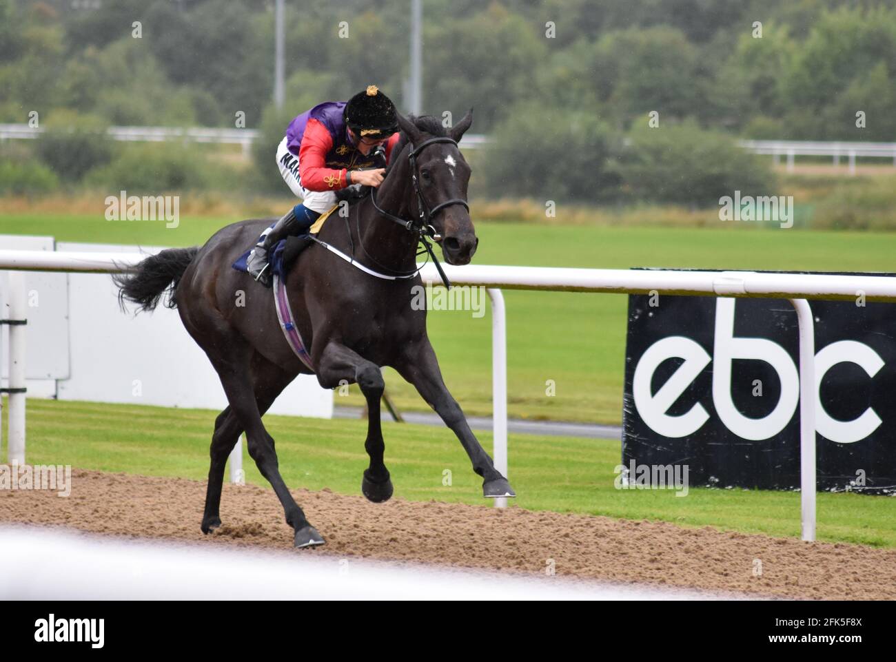 Wolverhampton Races, Wolves Stock Photo - Alamy