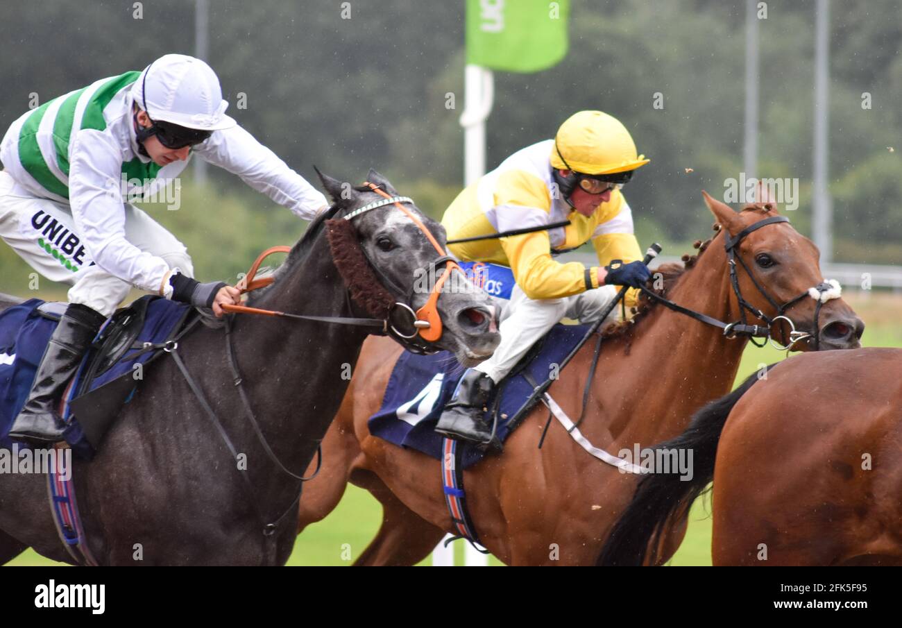 Wolverhampton Races High Resolution Stock Photography and Images - Alamy