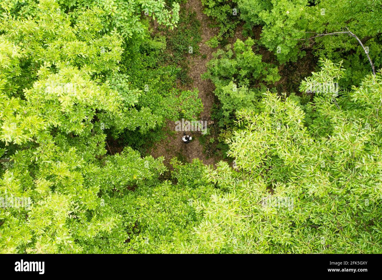 View from above, stunning aerial view of a person walking on a trail in ...