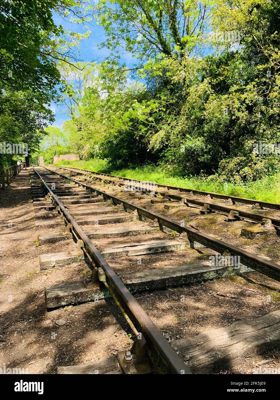 Old Train Line, Tram Line, Train Tracks Stock Photo - Alamy