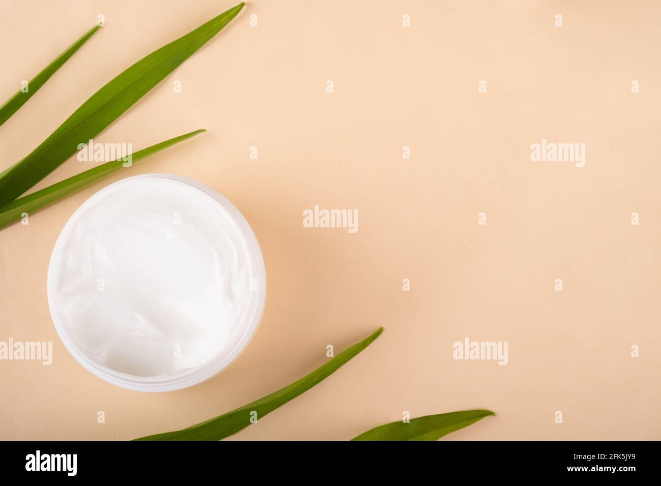 beauty skin care, white hand cream and green grass background with copy ...