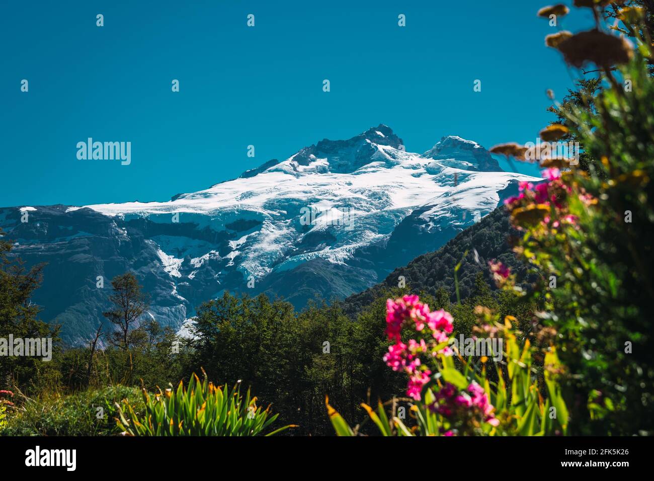 Flowers with mountains in the distance hi-res stock photography and ...