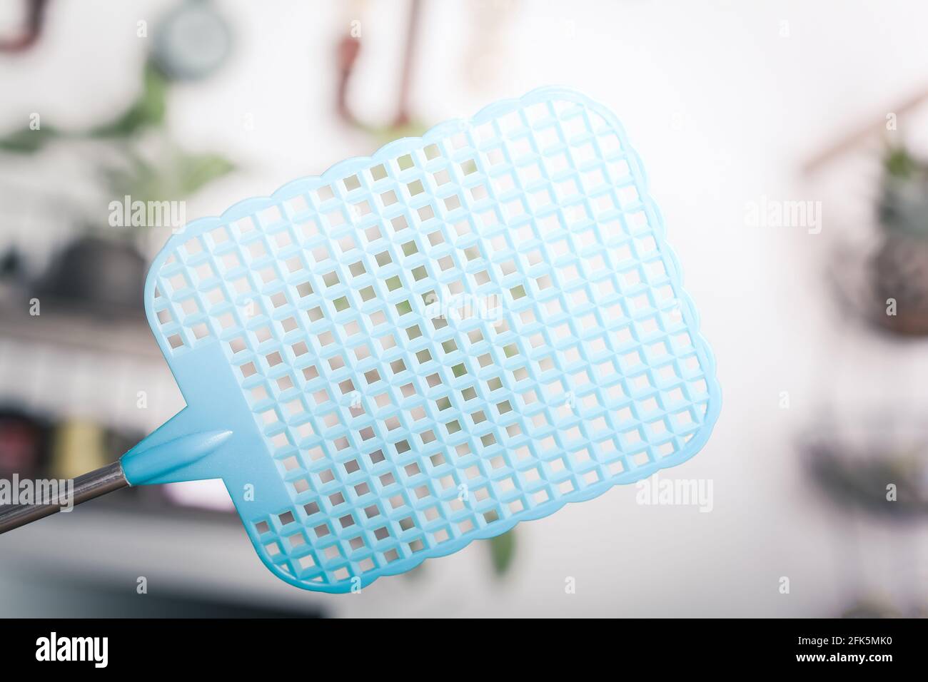 Fly Swatter Is Going To Squash An Insect Stock Photo - Alamy