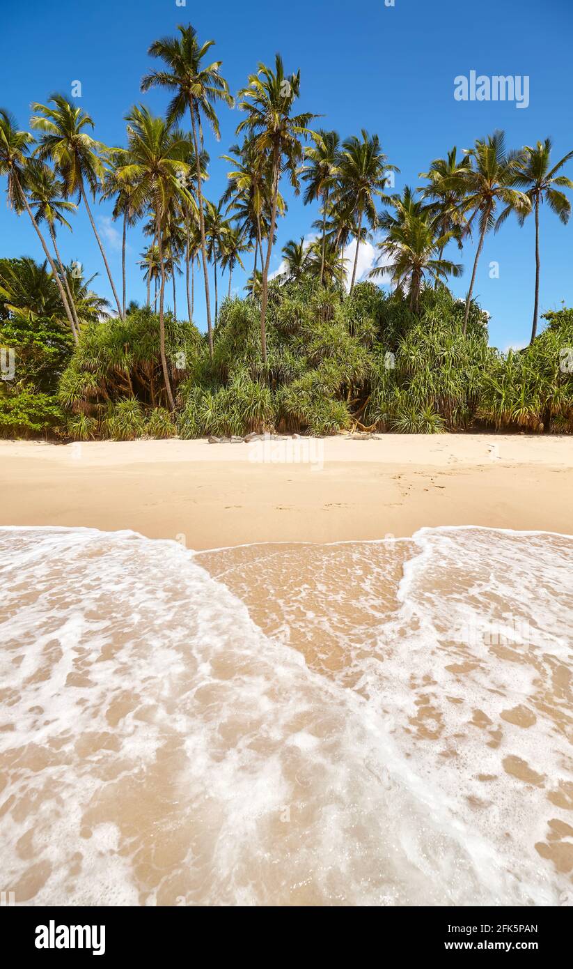 Ocean sea sand beach sunny tropical hi-res stock photography and images ...