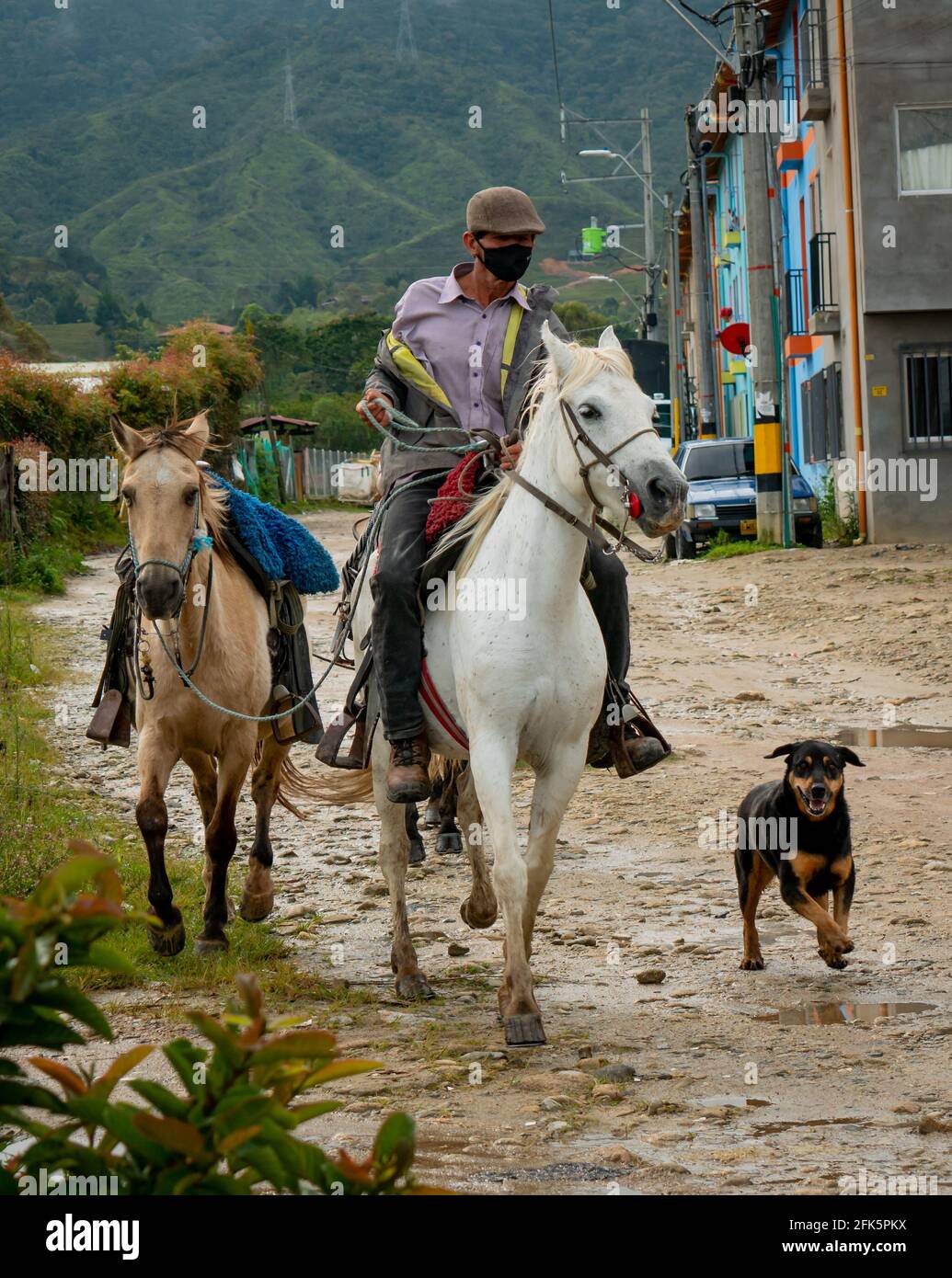 Dog cowboy horse ride hi-res stock photography and images - Alamy