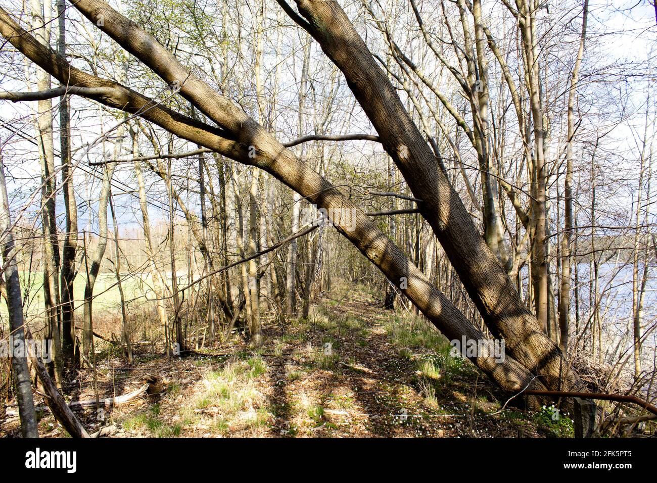 Nordic landscapes hi-res stock photography and images - Alamy