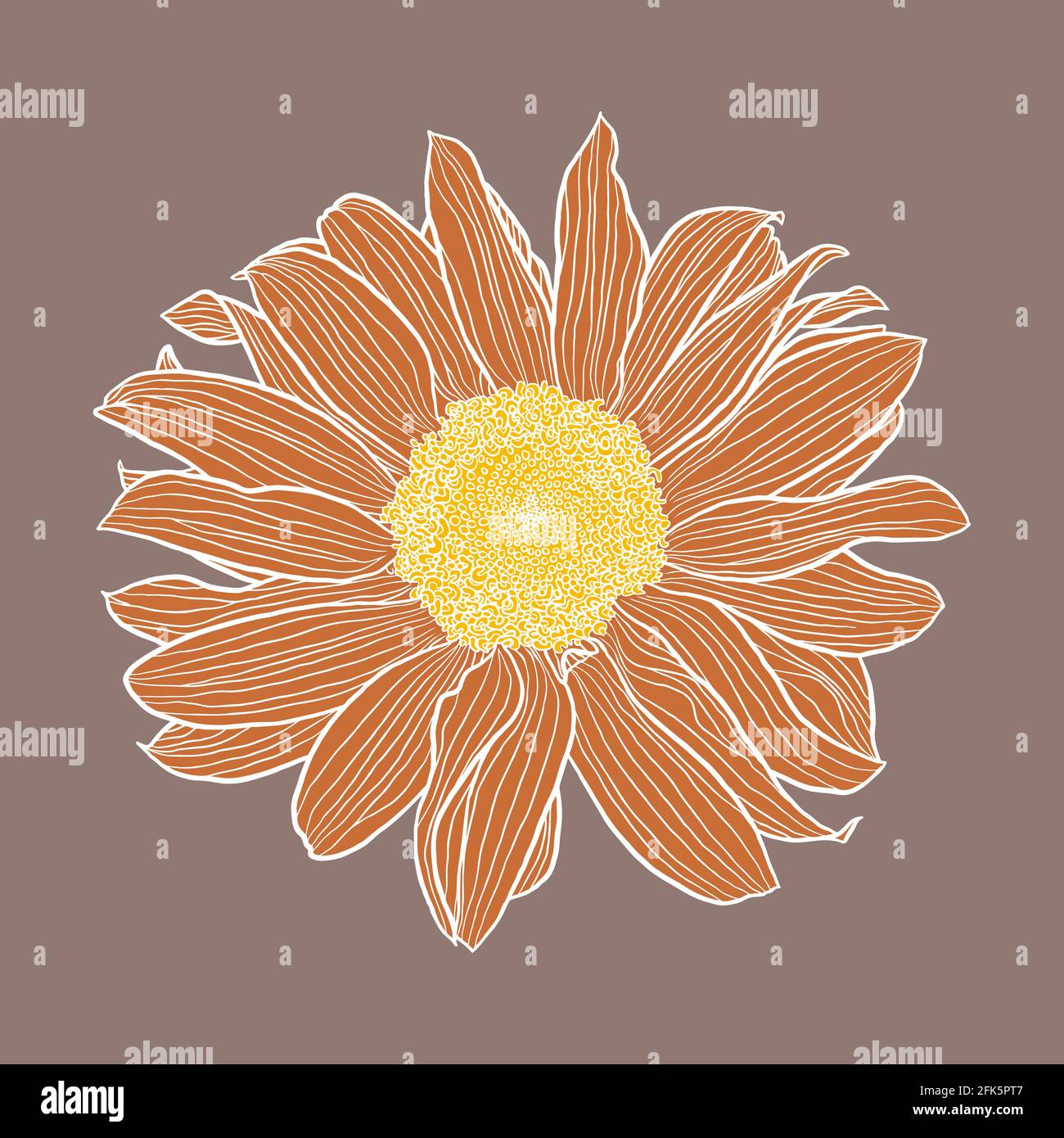 Terracotta head Stock Vector Images - Alamy