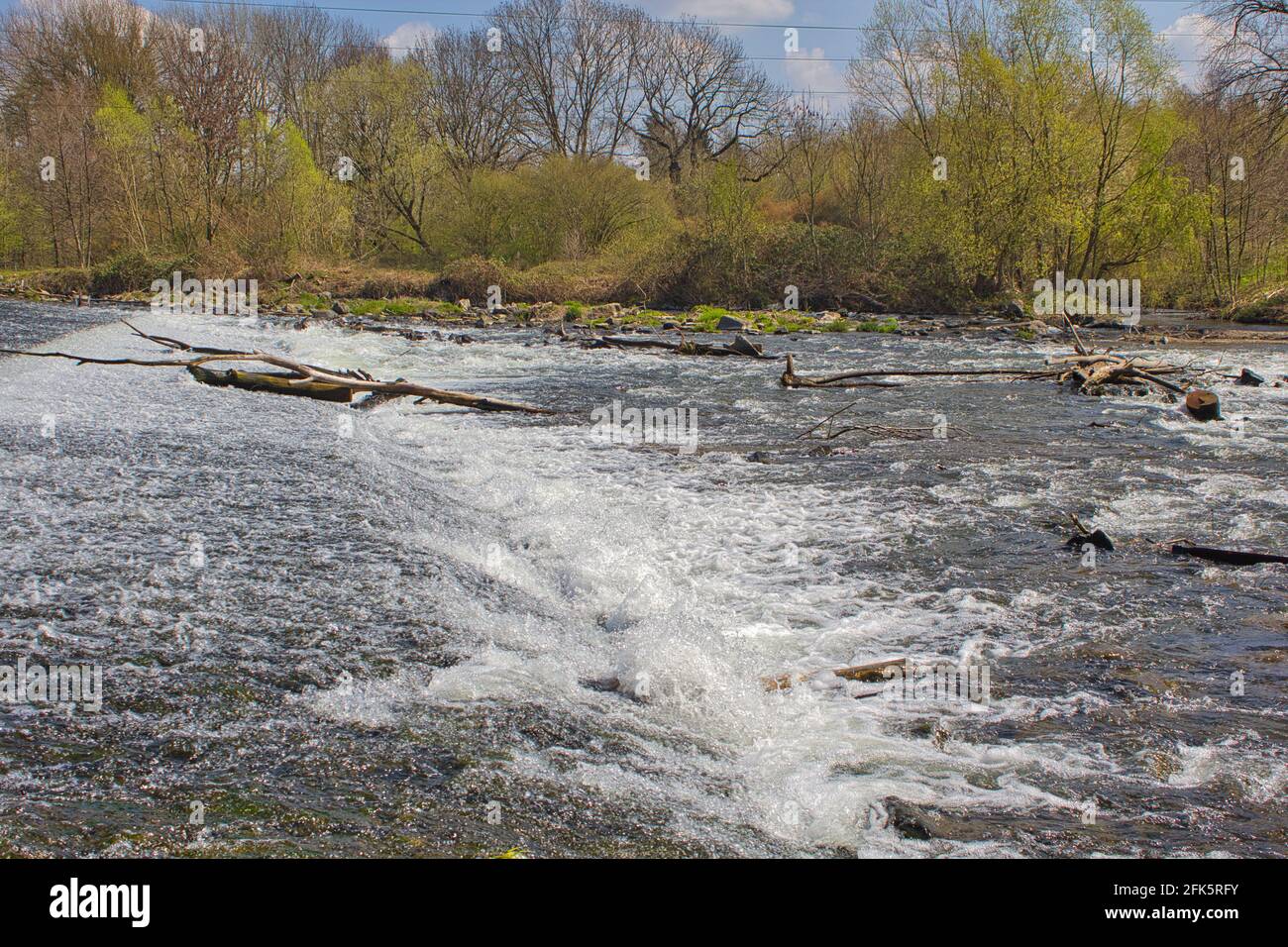 Rapid river flow carrying away tree branches Stock Photo - Alamy