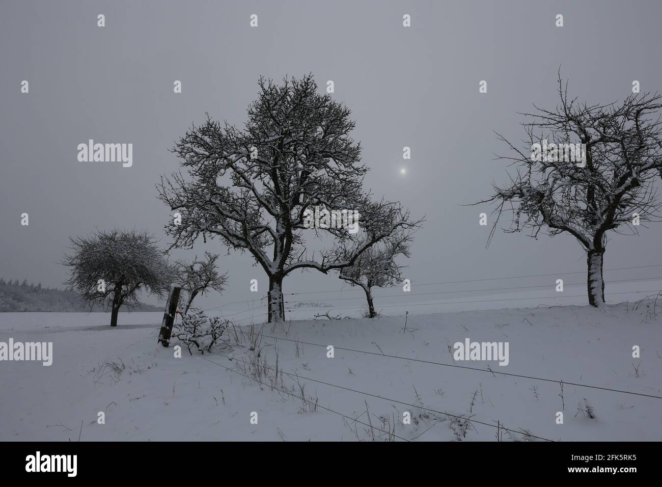 Winter tree silhouettes snow hi-res stock photography and images - Alamy