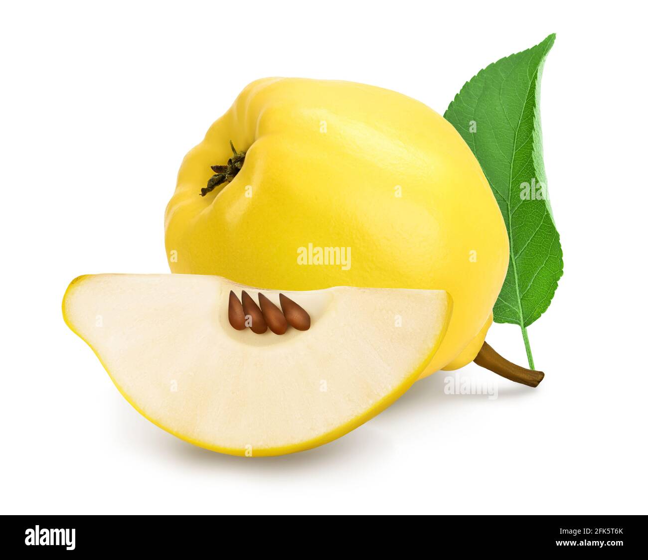 Fresh cut quince isolated on the white background with clipping path ...