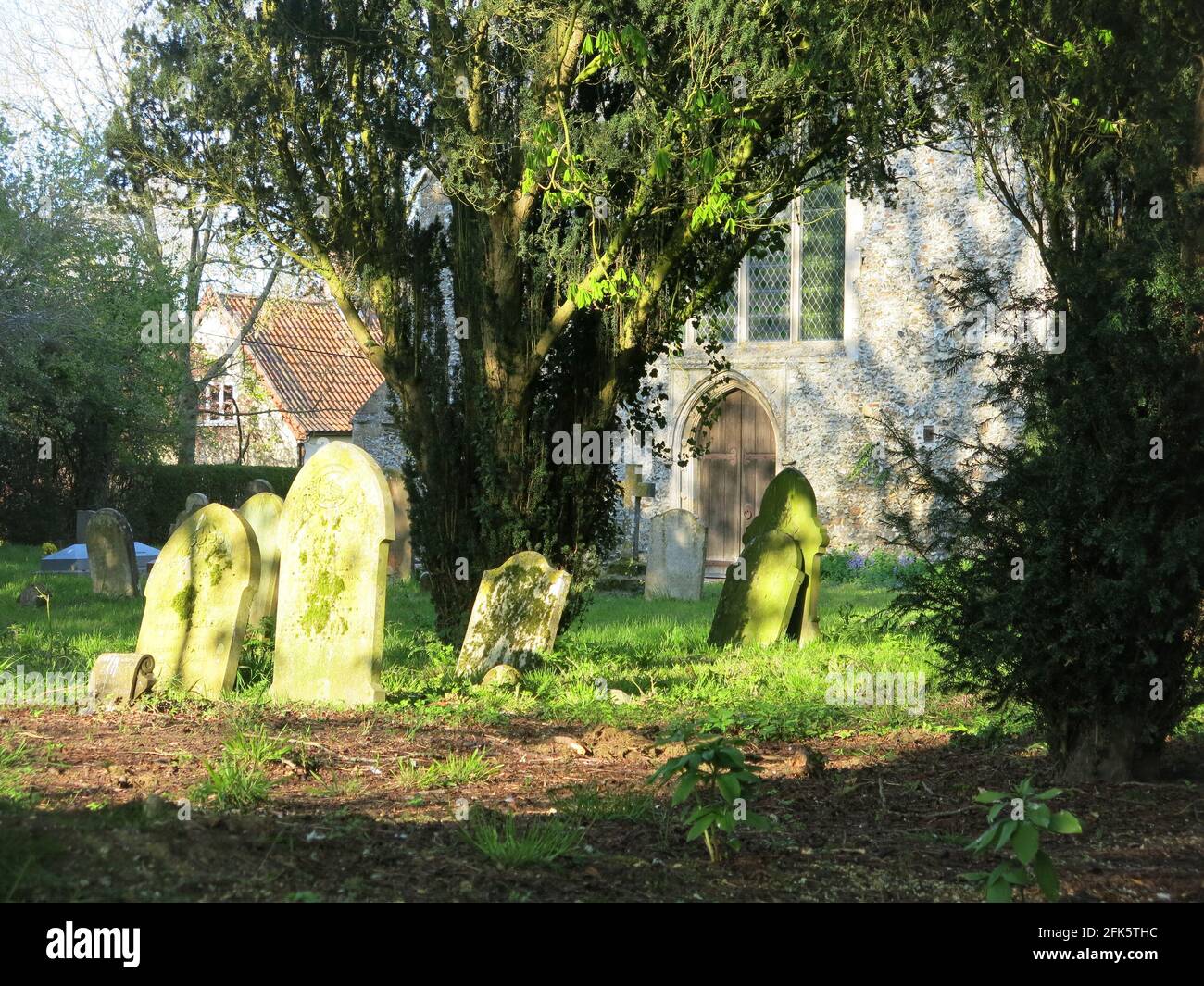 Ancient headstones catching the early evening sunlight in the graveyard ...