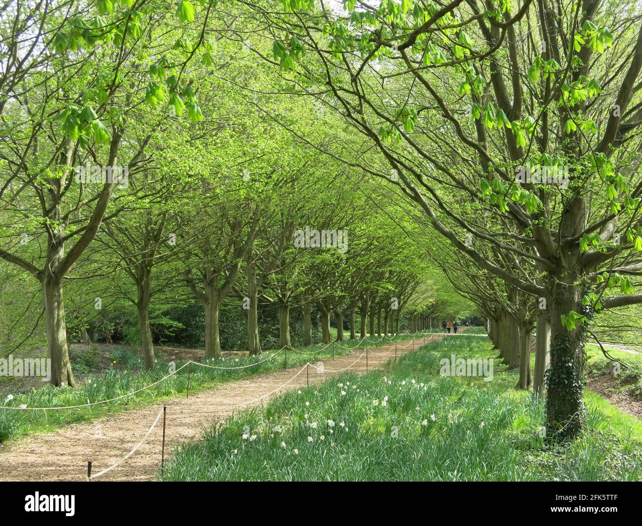 Spring walk anglesey abbey hi-res stock photography and images - Alamy