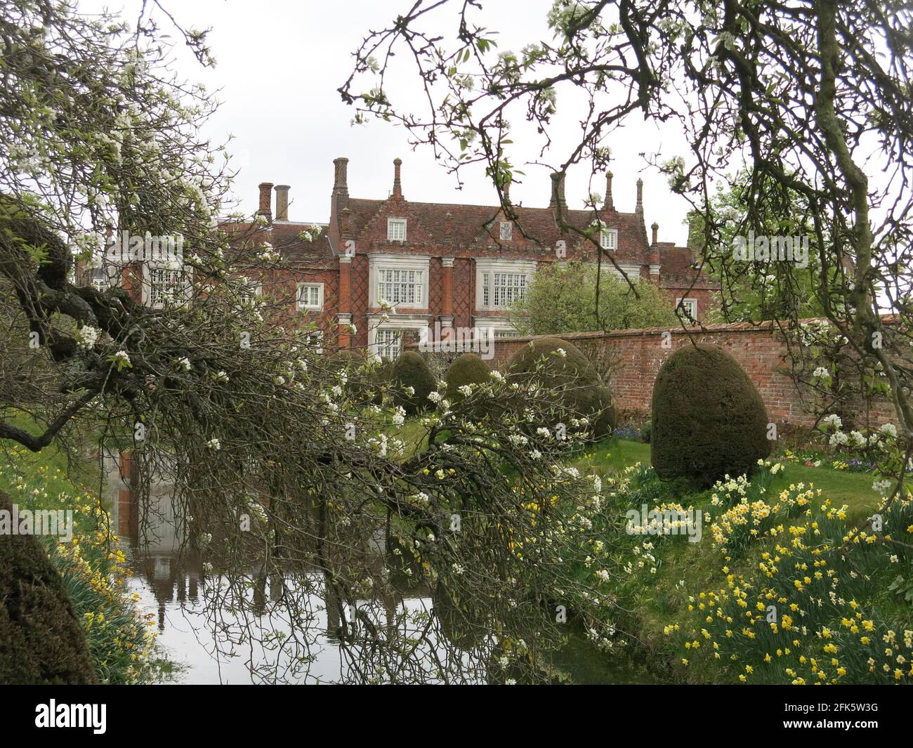 Helmingham Hall in springtime: blossom on the trees and daffodils ...