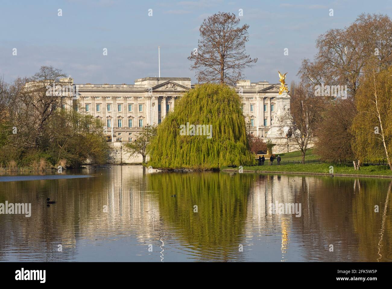 View of Buckingham Palace from st James park ,London Stock Photo - Alamy