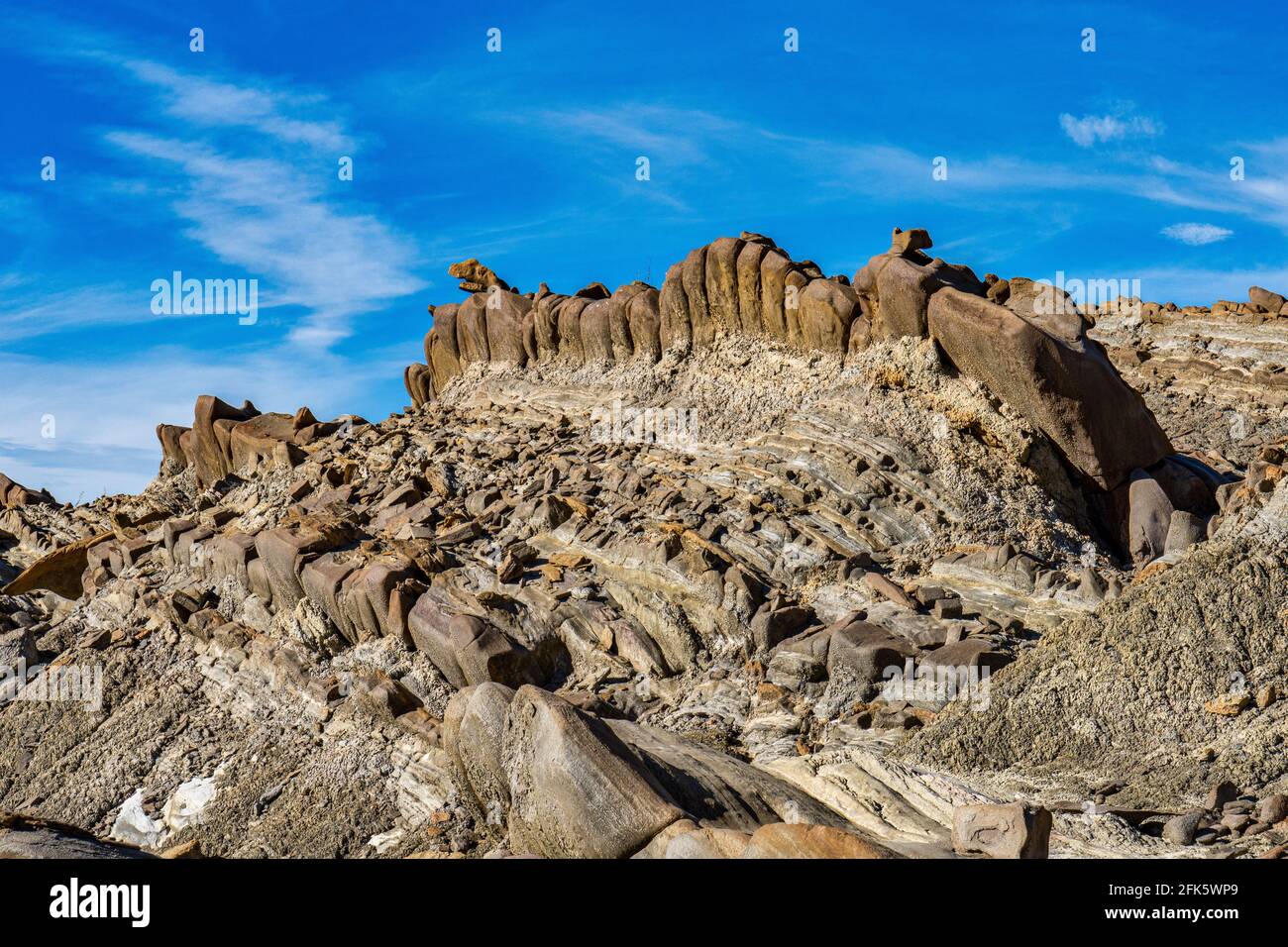 Dragon Tail, Colas de Dragon in Tabernas Desert in Almeria, Spain ...